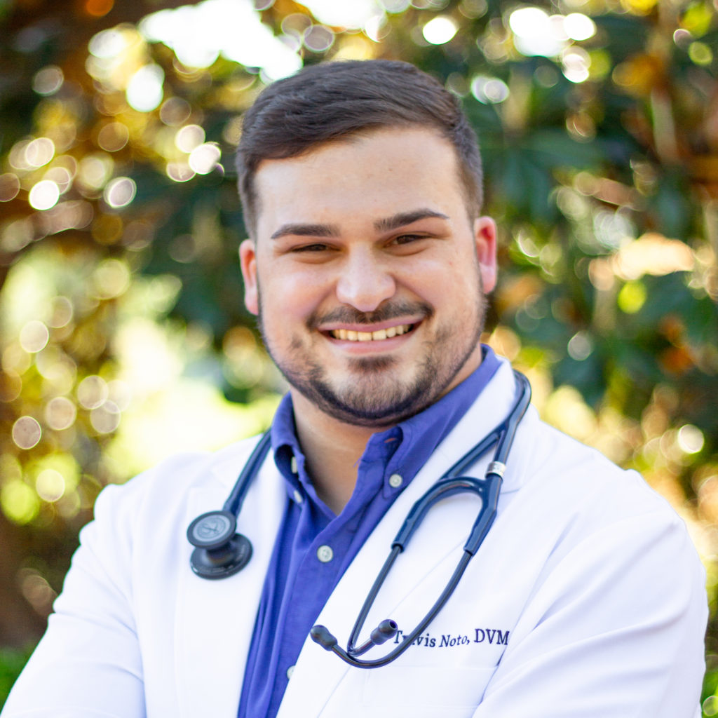 Meet Our Veterinarians | Berthoud Animal Hospital